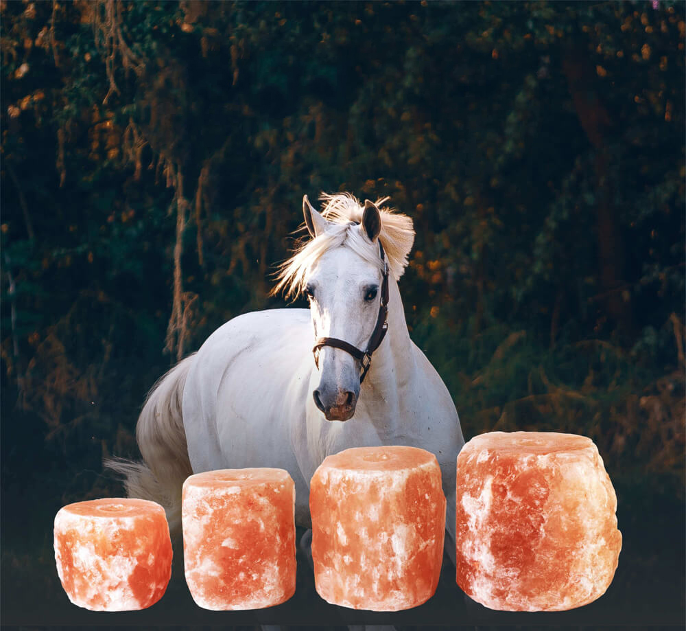 Animal Lick Salt – Euro Pak Global – Exporter of Himalayan & Sea Salt